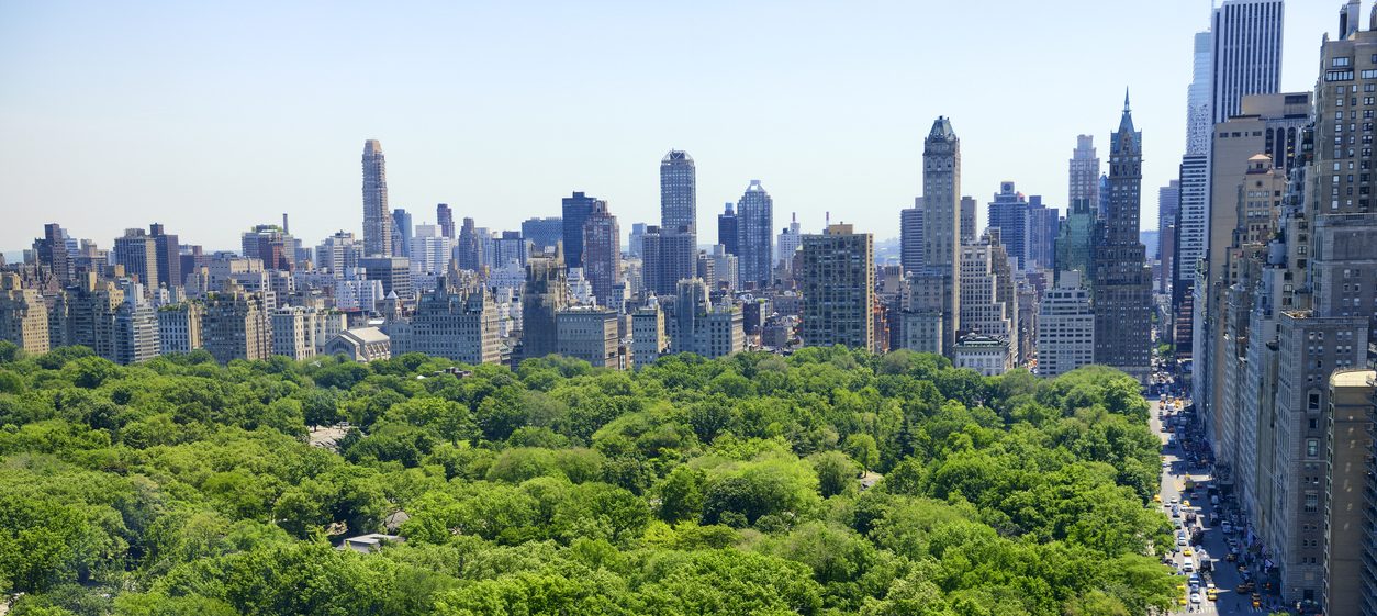 NYCAL: 2022 In Review - Lynch Daskal LLP